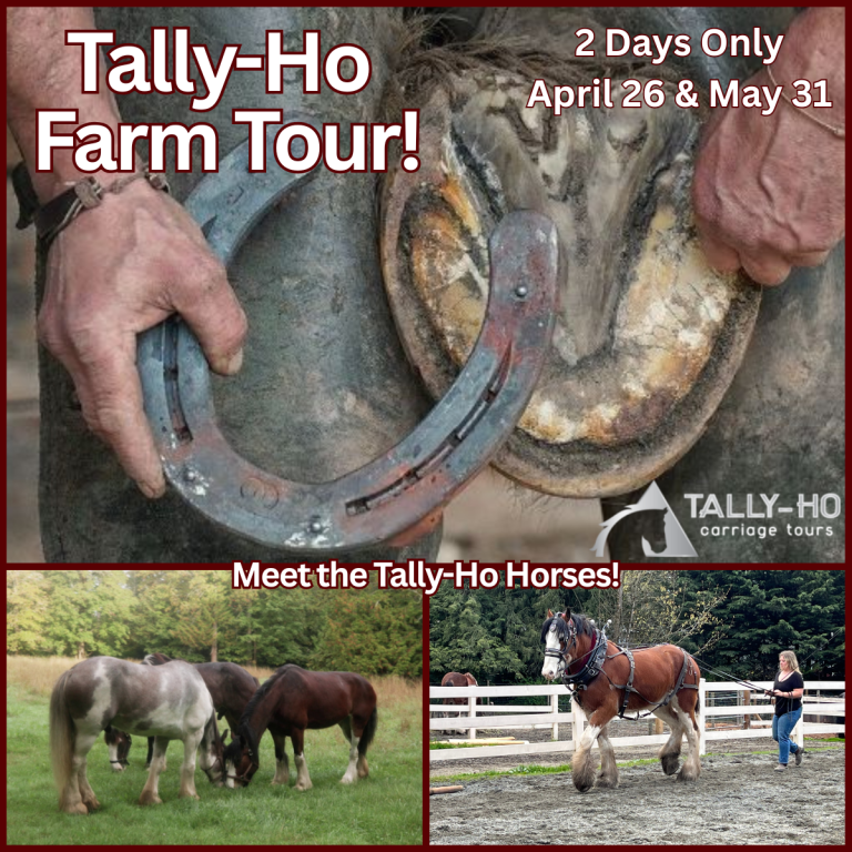 Events from April 4 – April 26 – Downtown Victoria Events