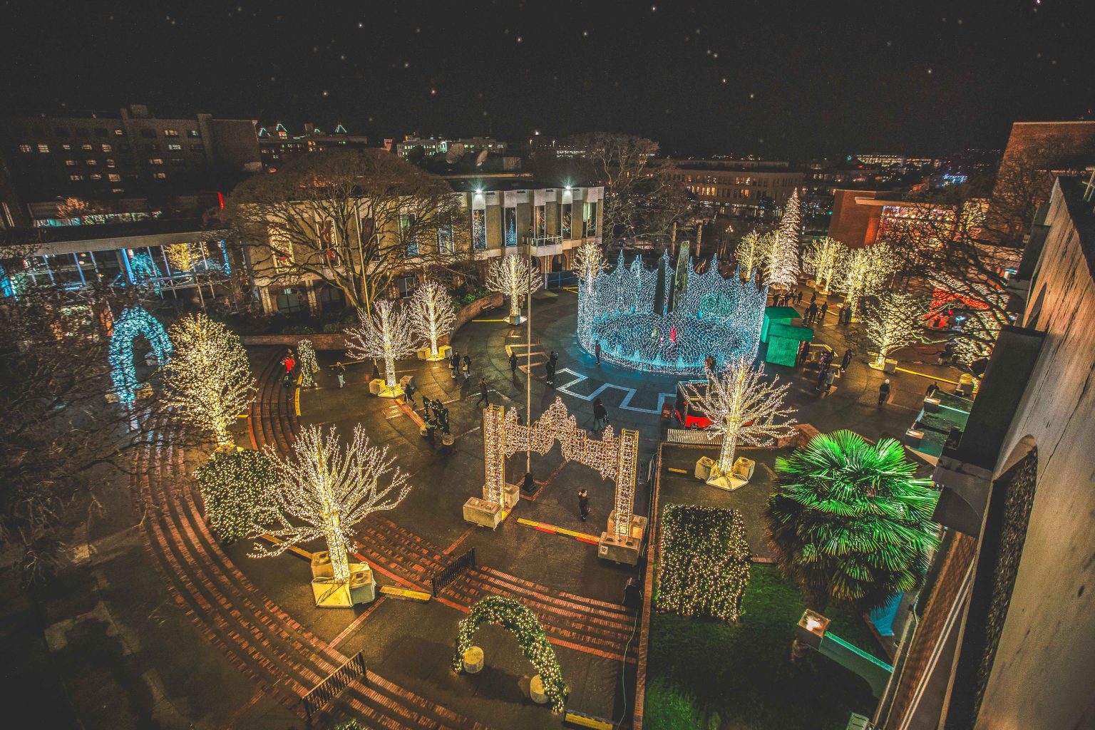 Festival of Trees - Downtown Victoria Events